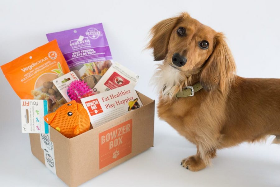 A Year of Boxes™ | Bowzer Box Review May 2017 | A Year of Boxes™