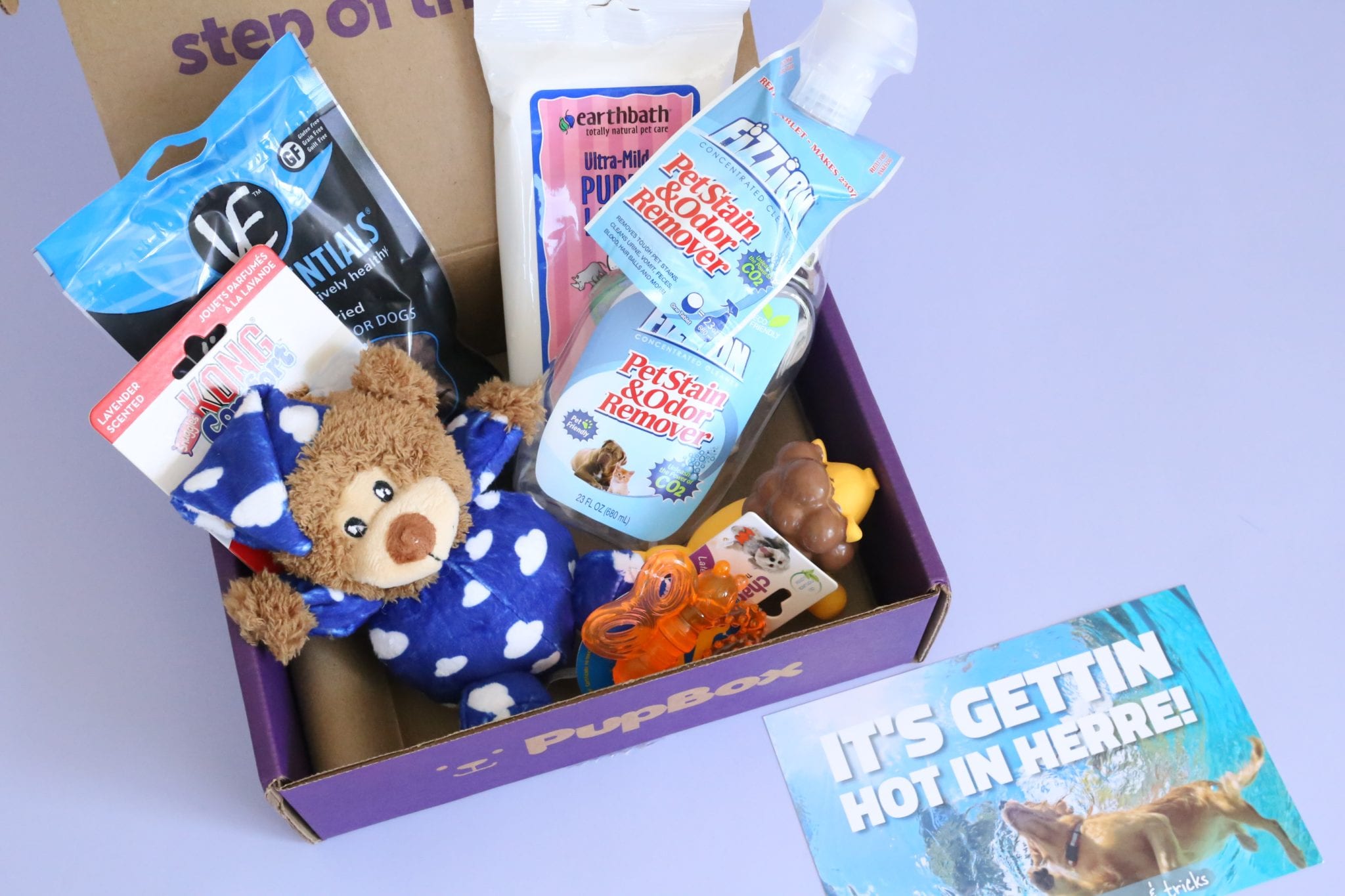 A Year of Boxes™ | PupBox Review July 2017 - A Year of Boxes™